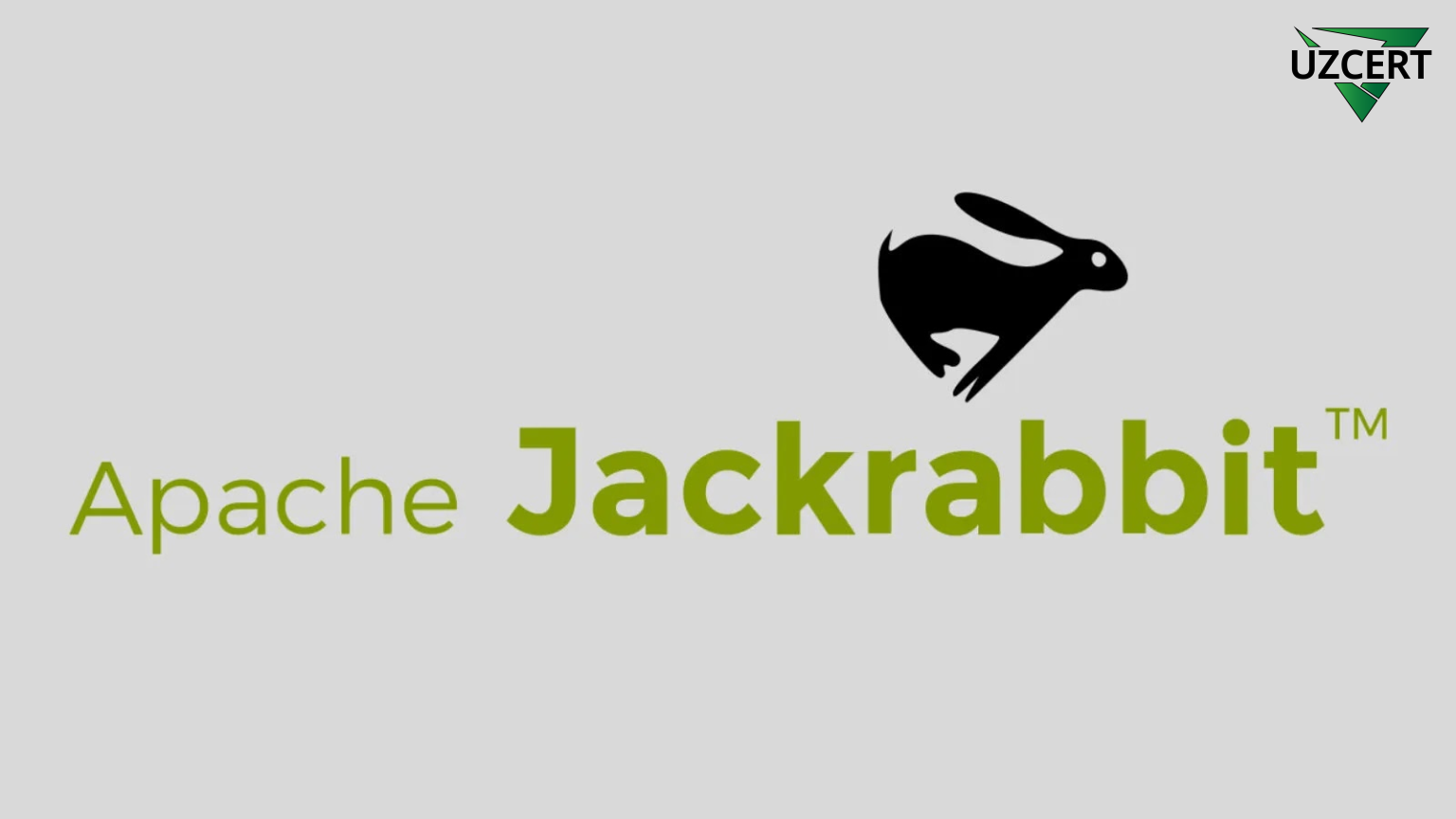 Apache Jackrabbit’da xavfli zaiflik: serverlar hujum ostida